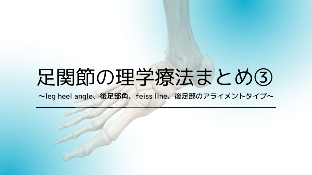 足関節の理学療法まとめ③〜leg heel angle、後足部角、feiss line、後足部のアライメントタイプ〜 - 理学療法士による臨床 ...