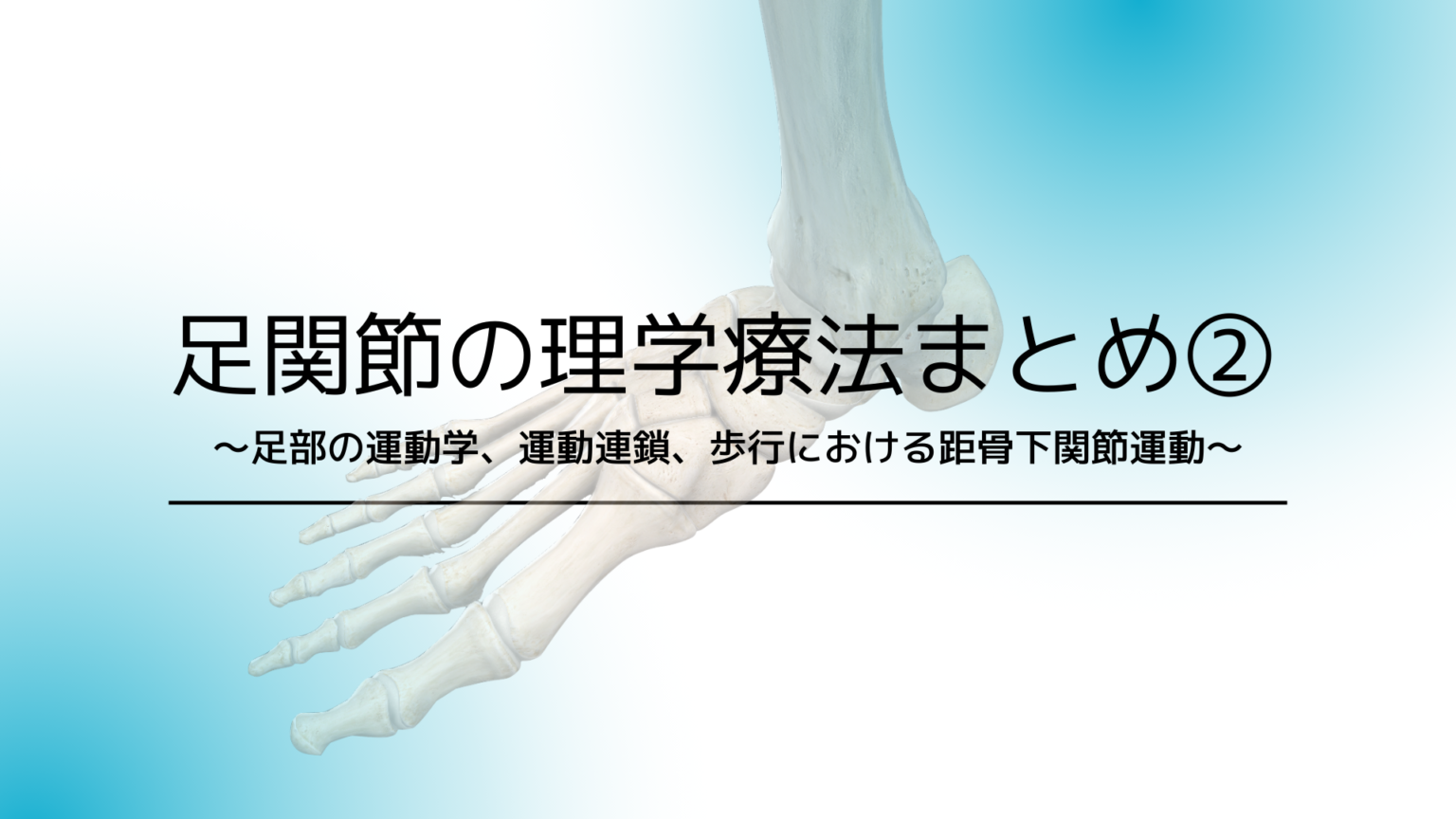 足関節の理学療法まとめ②〜足部の運動学、運動連鎖、歩行における距骨下関節運動〜 理学療法士による臨床のためのブログ