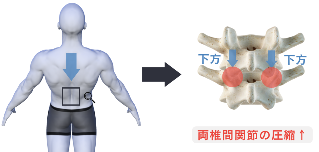 椎間関節性腰痛の理解と評価アプローチ Forpt Online