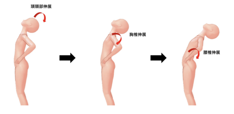 椎間関節性腰痛の理解と評価アプローチ Forpt Online